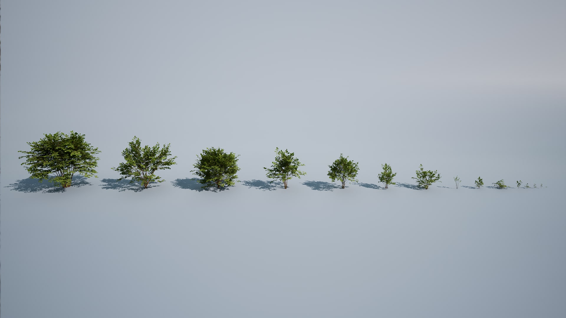 Megascans Trees