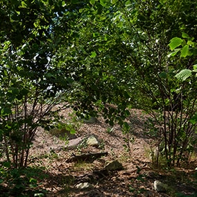 Megascans - Castle Ruins in Megascans - UE Marketplace