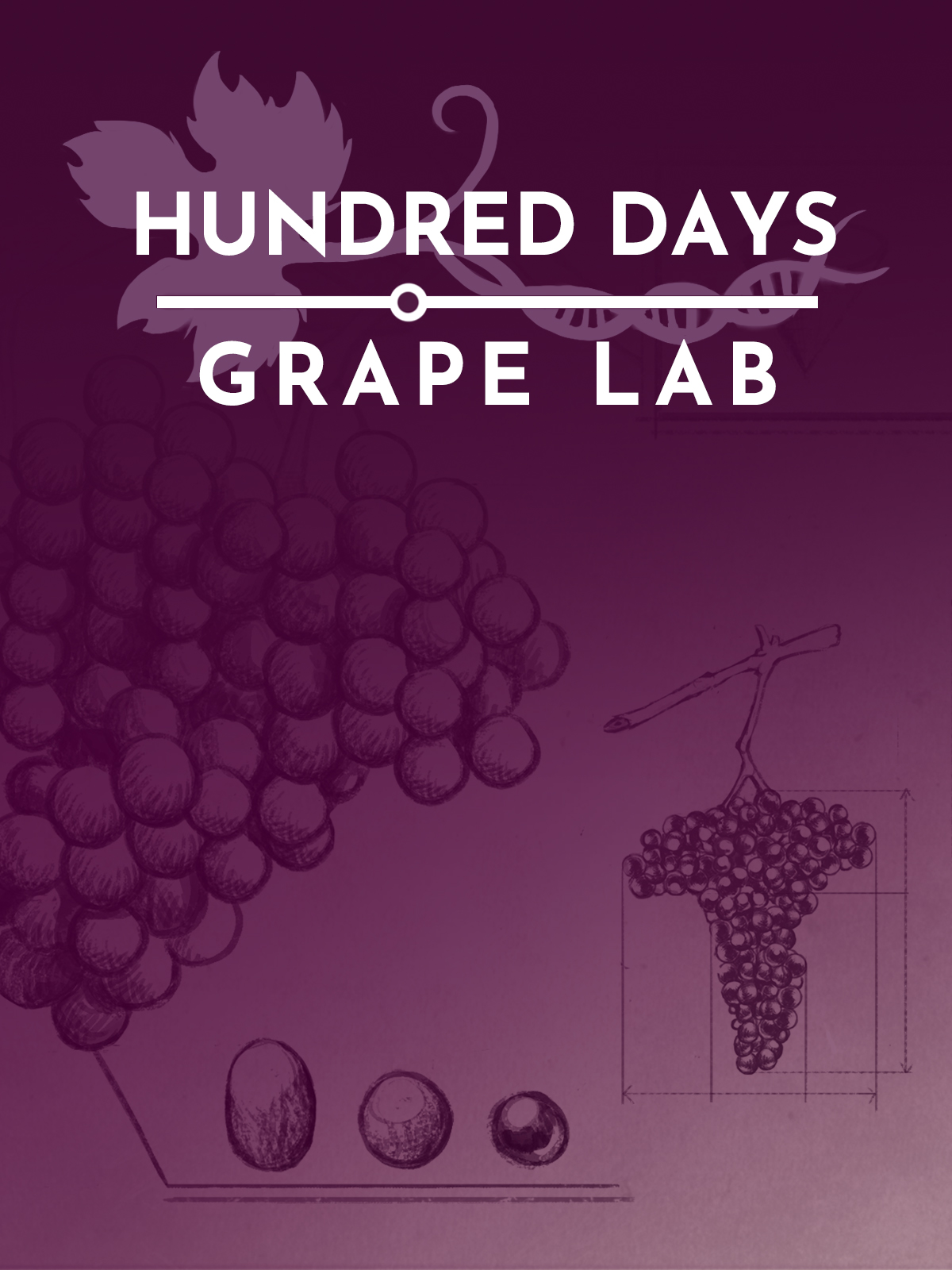 Hundred Days - Grape Lab for Free - Epic Games Store