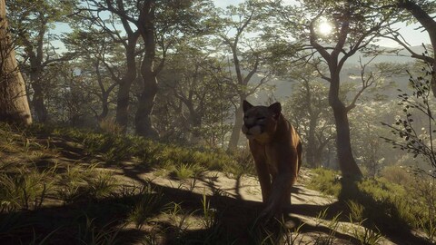 theHunter: Call of the Wild™ - Parque Fernando - Epic Games Store