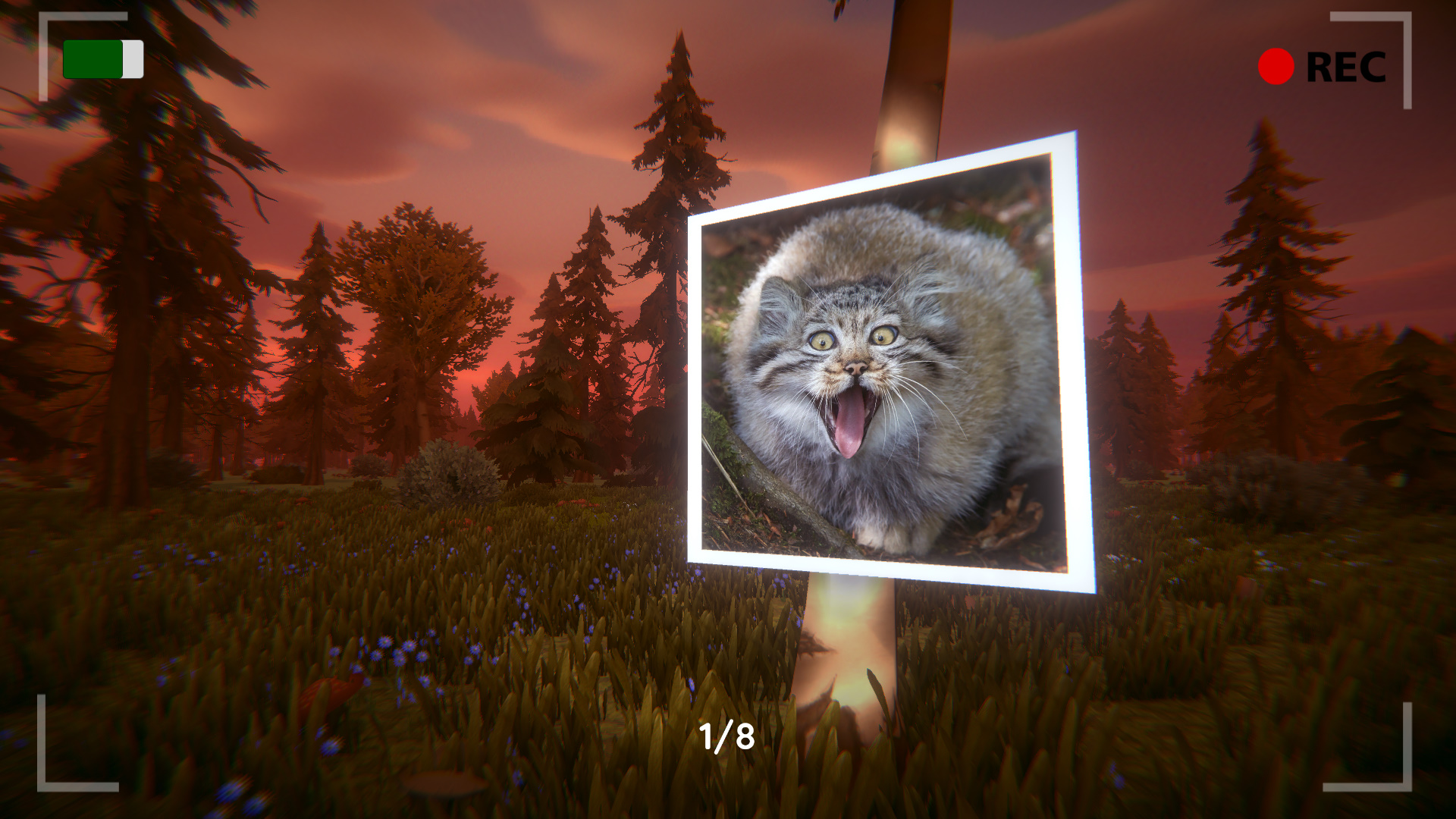 Floppa: The Dark Forest | Baixe e compre hoje - Epic Games Store