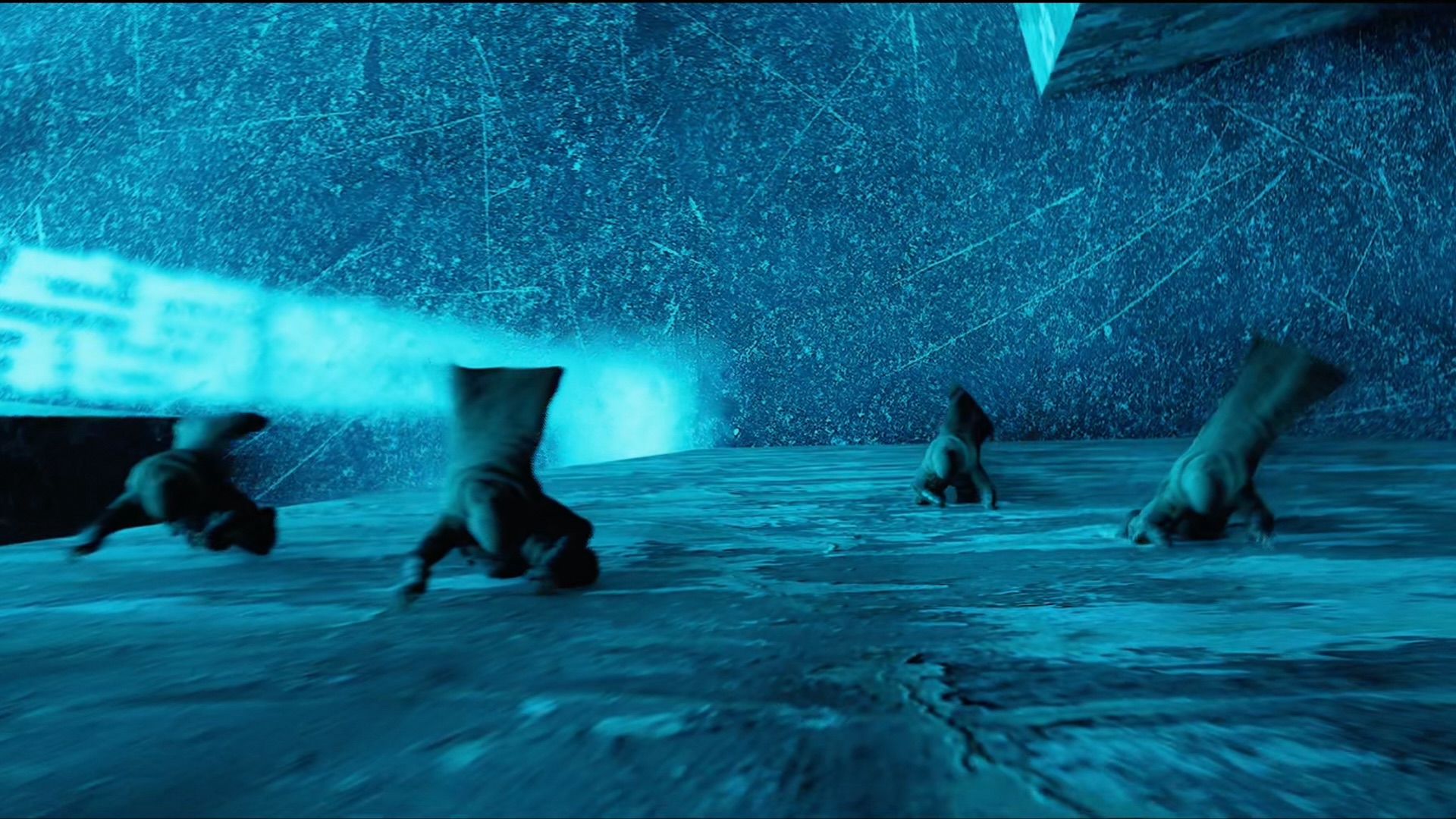 Sofie: The Echoes — dostępne niedługo — Epic Games Store