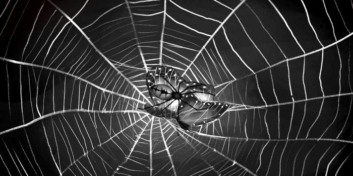 Paramnesia | Bugün Satın Al ve İndir - Epic Games Store