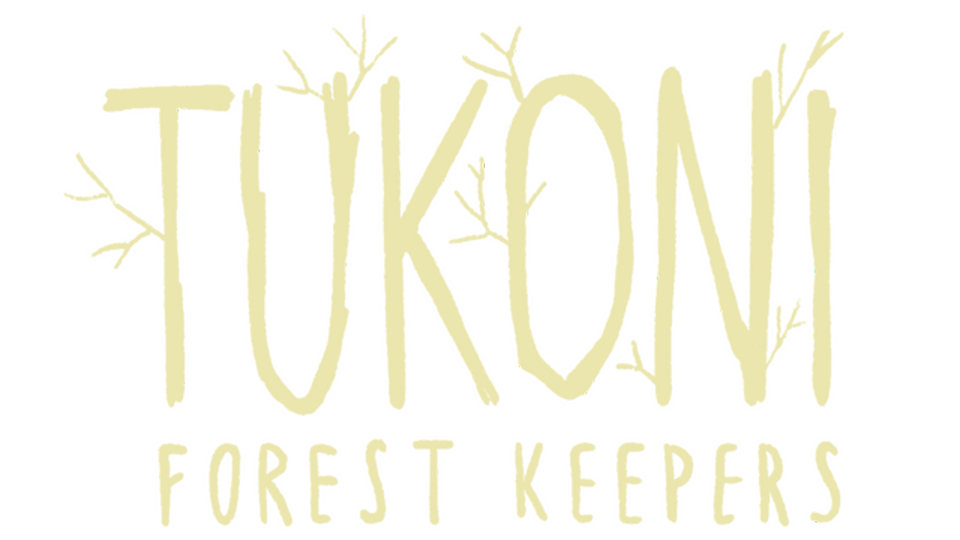 Tukoni: Forest Keepers قادمة قريبًا - Epic Games Store
