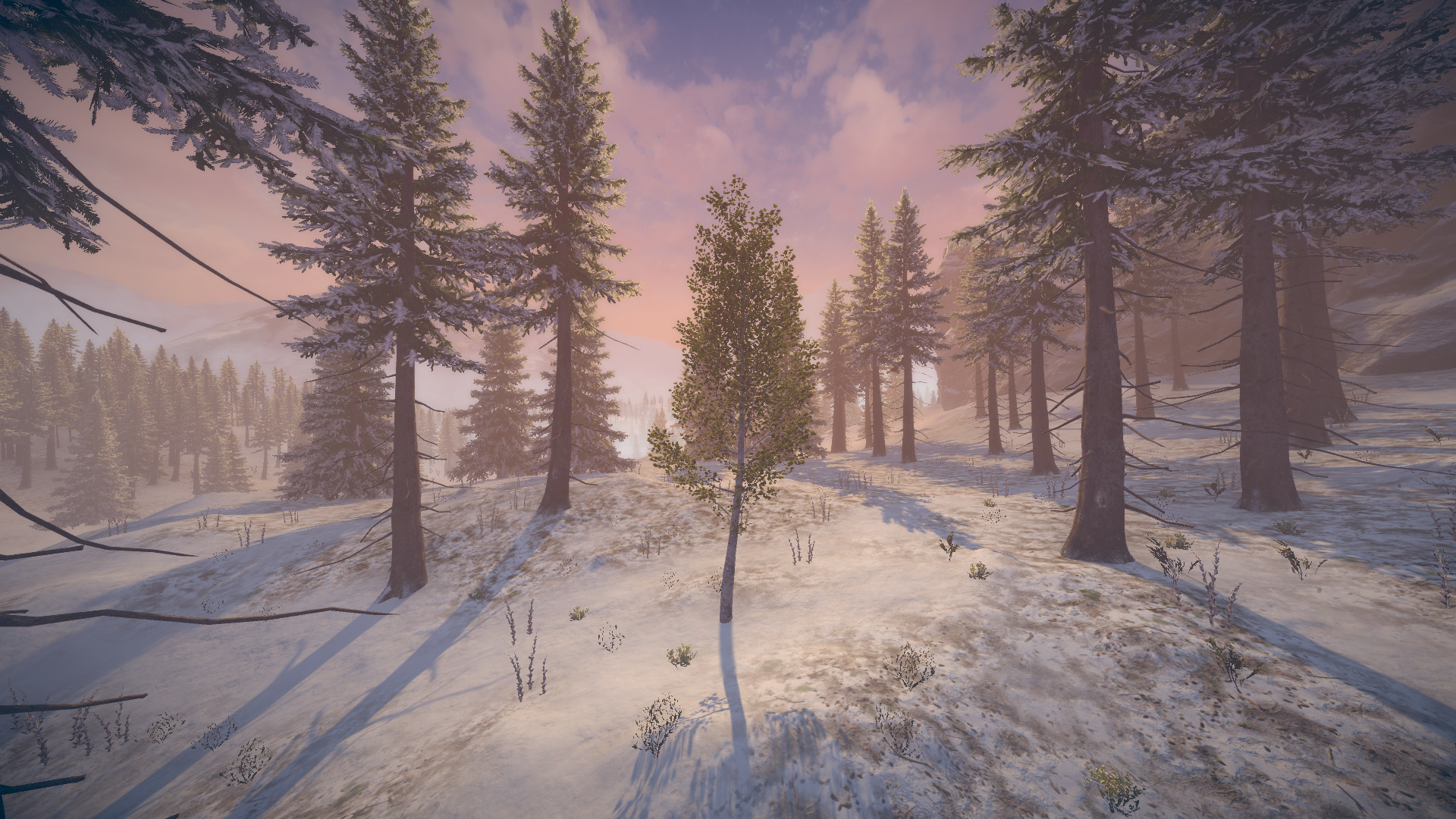 Birch Simulator | Download and Buy Today - Epic Games Store