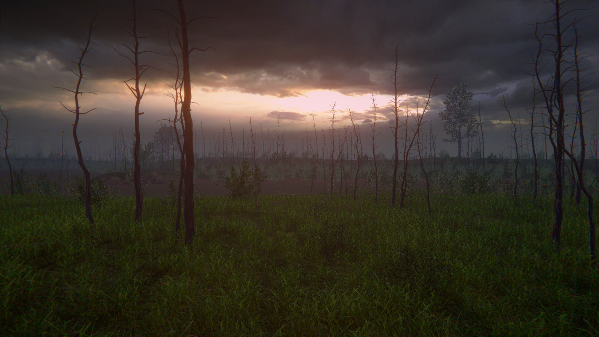 Birch Simulator | Transfere e compra hoje – Epic Games Store