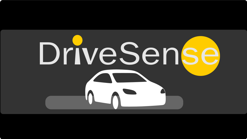DriveSense Segera Hadir - Epic Games Store