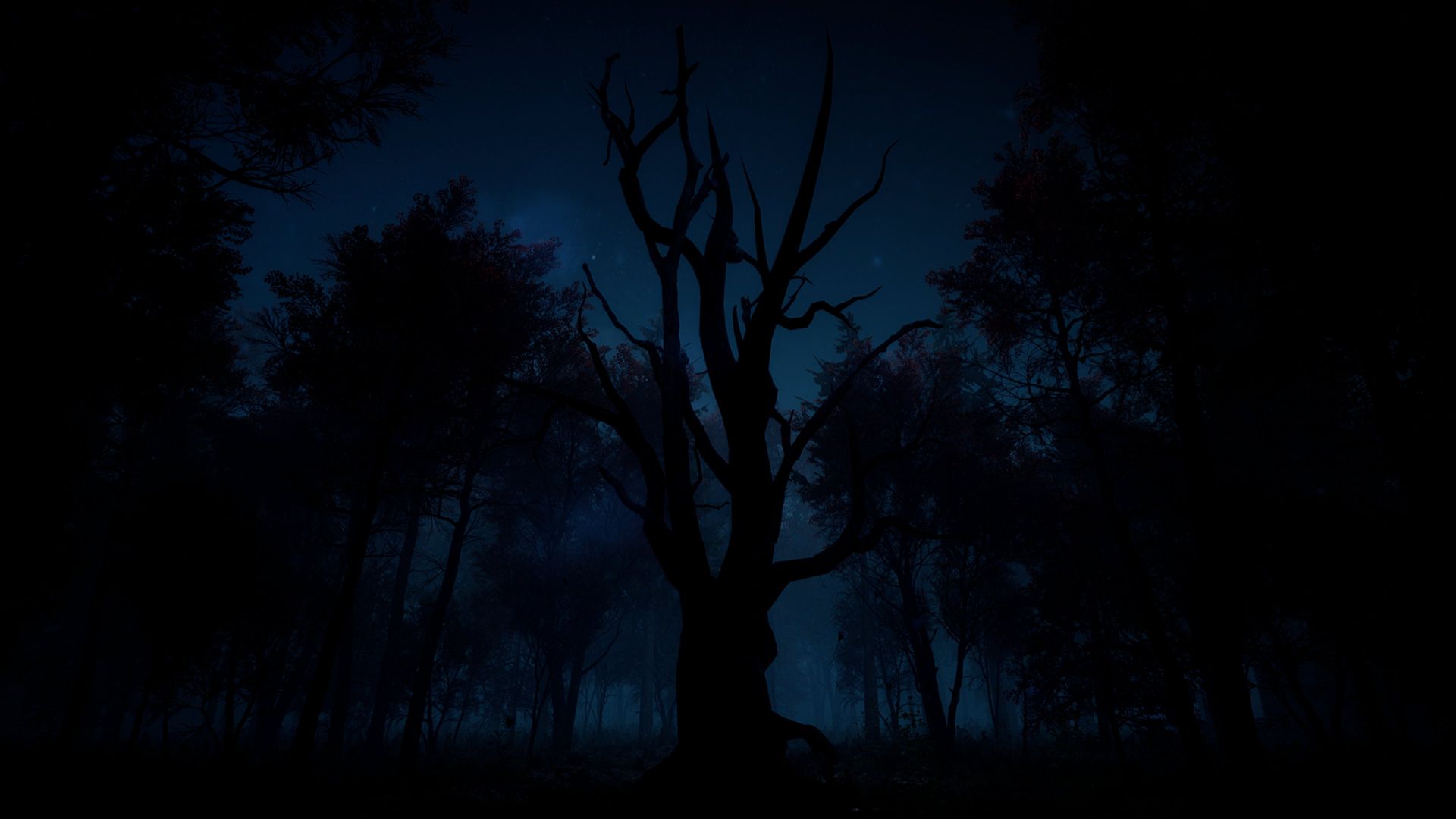 Slender The Arrival | Download and Buy Today - Epic Games Store