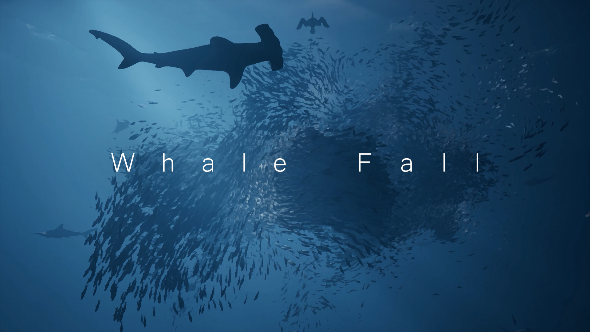 Whale Fall próximamente - Epic Games Store