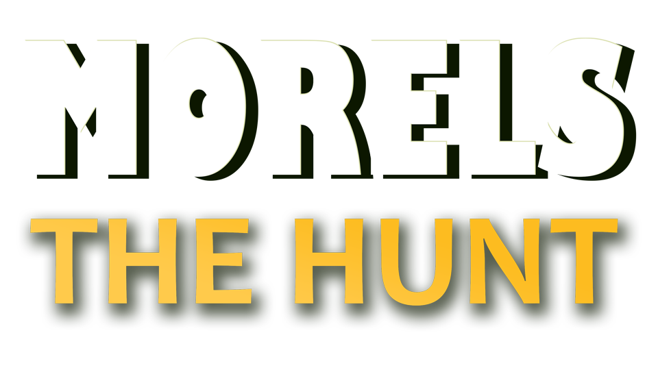 Morels: The Hunt | Download and Buy Today - Epic Games Store