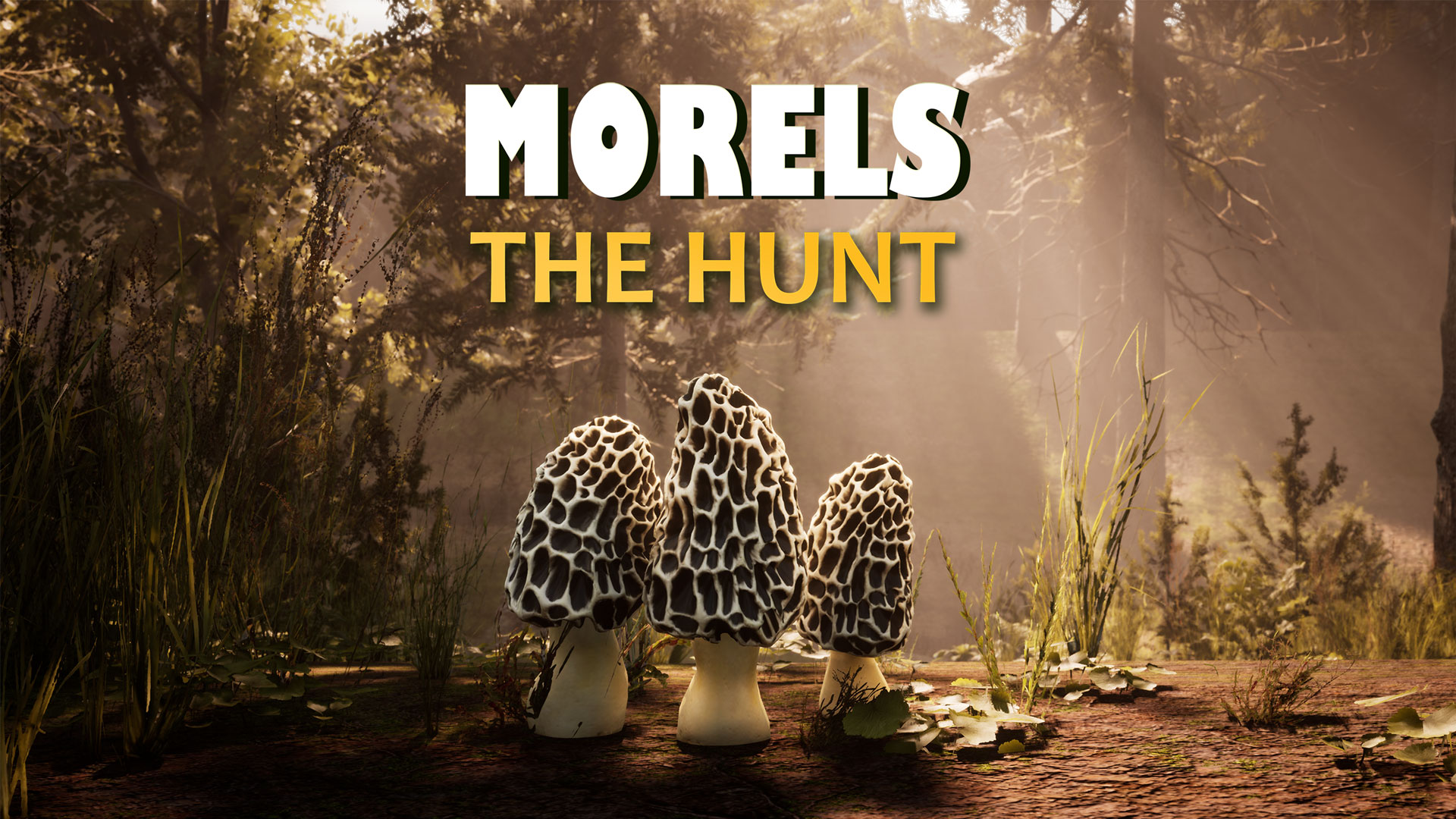 Morels: The Hunt | Download and Buy Today - Epic Games Store