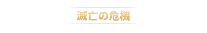 Fragile Existence フラジャイル・エクジスタンスは近日登場 - Epic Games Store