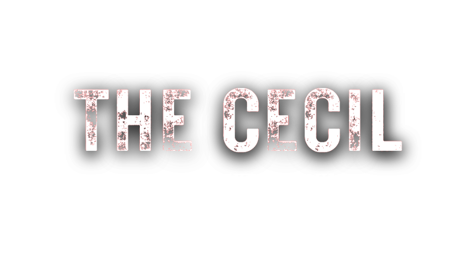 The Cecil The Journey Begins 출시 예정 - Epic Games Store