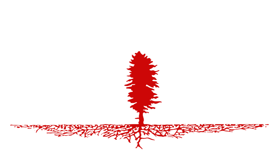 Forest Grove | Download and Buy Today - Epic Games Store