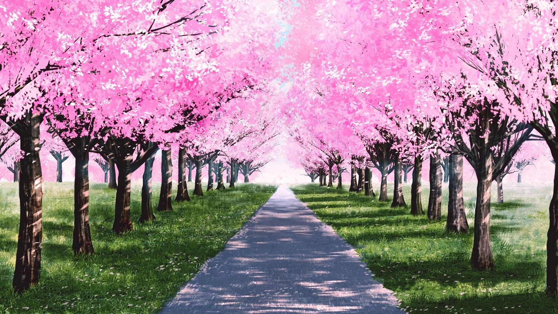 My Summer Adventure: Memories of Another Life | Descárgalo y cómpralo ...