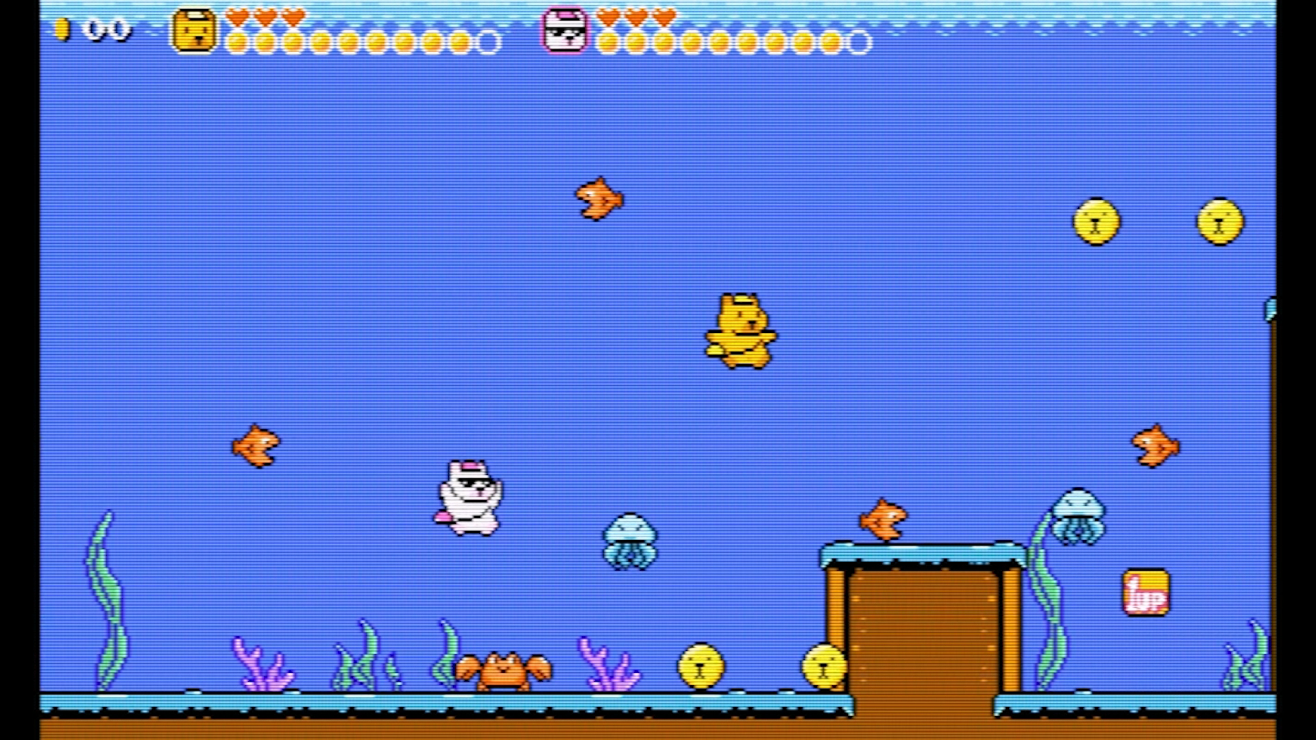 Cap 'n Barr's Adventure próximamente - Epic Games Store