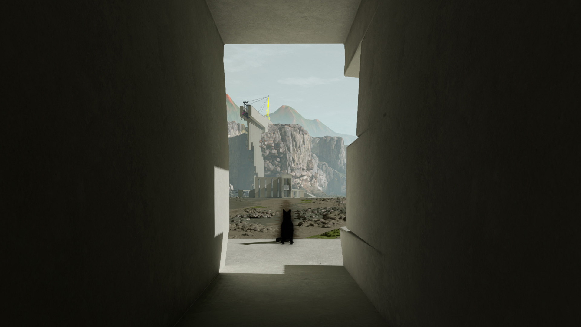 Player Non Player Coming Soon - Epic Games Store