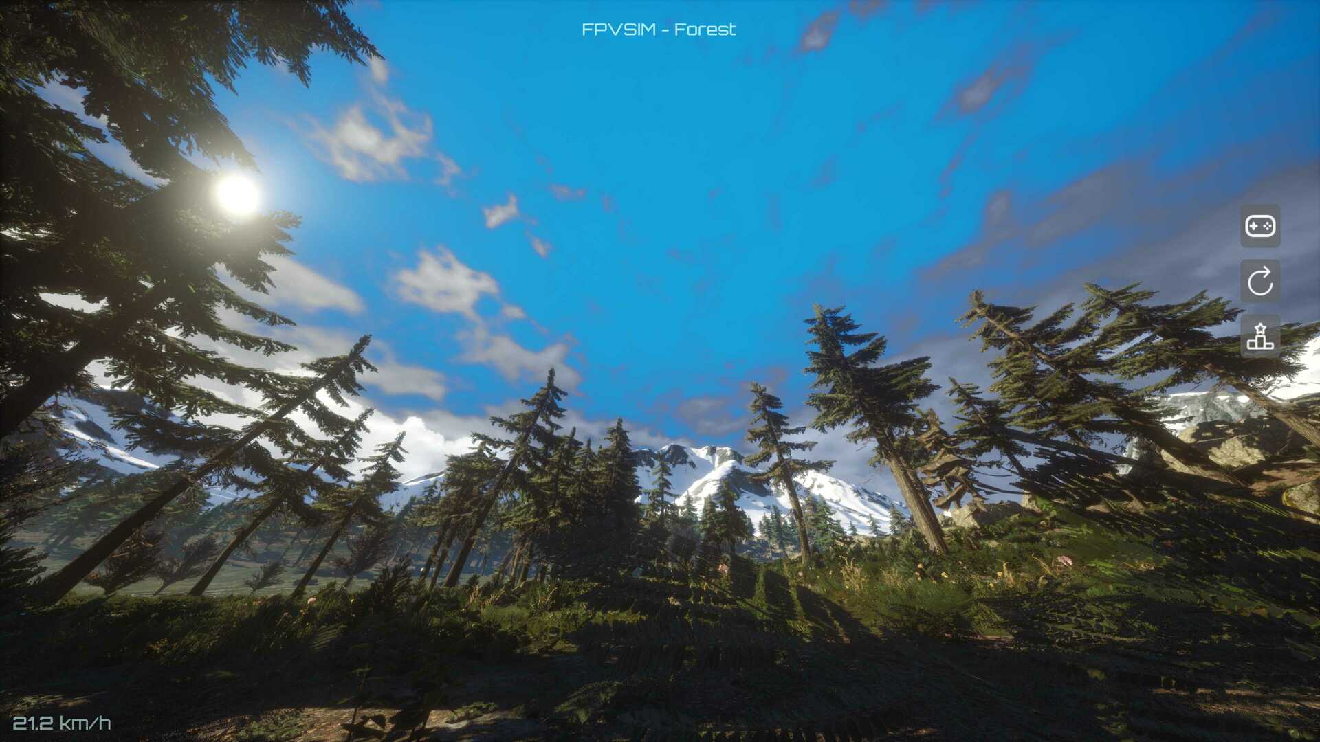 FPVSIM FPV Simulator | Download and Play for Free - Epic Games Store