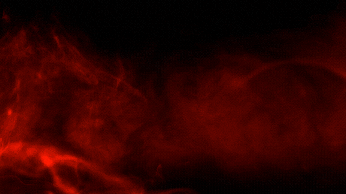 Coryphaeus Championships | Download and Play for Free - Epic Games Store