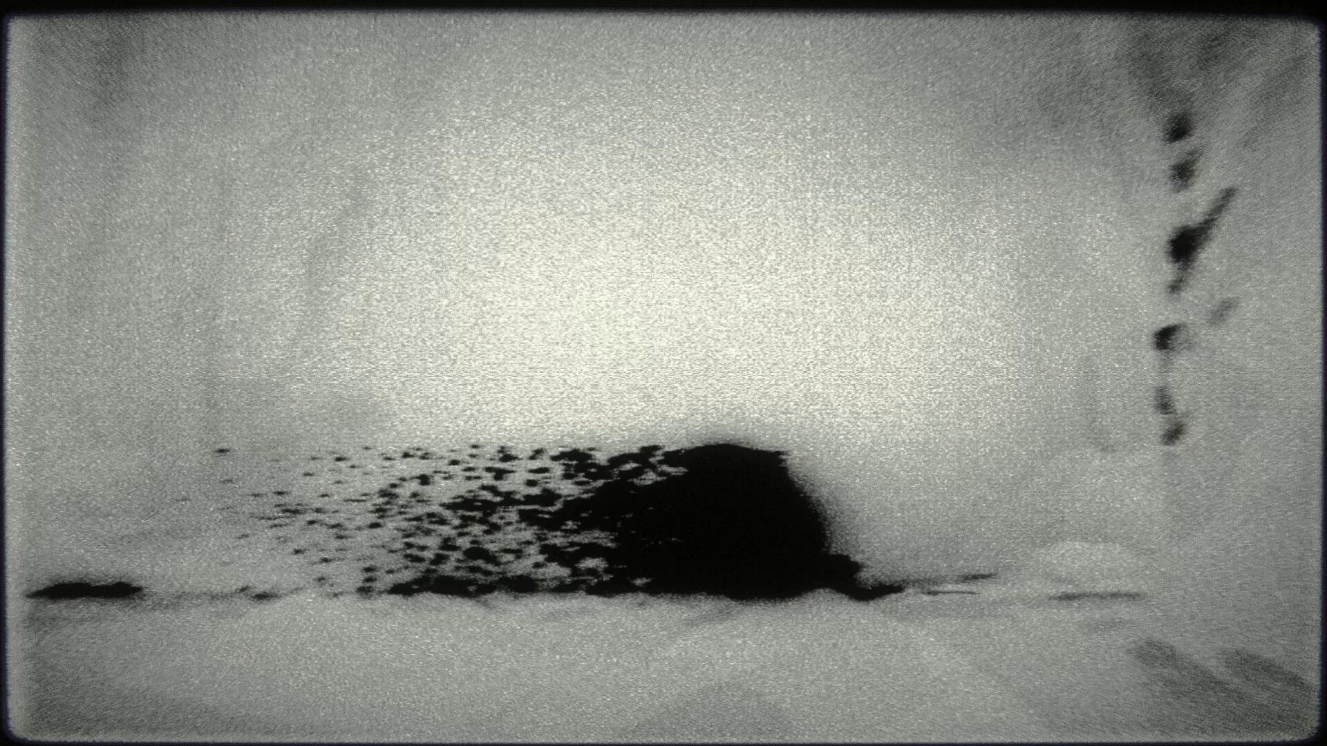 OMUT Coming Soon - Epic Games Store