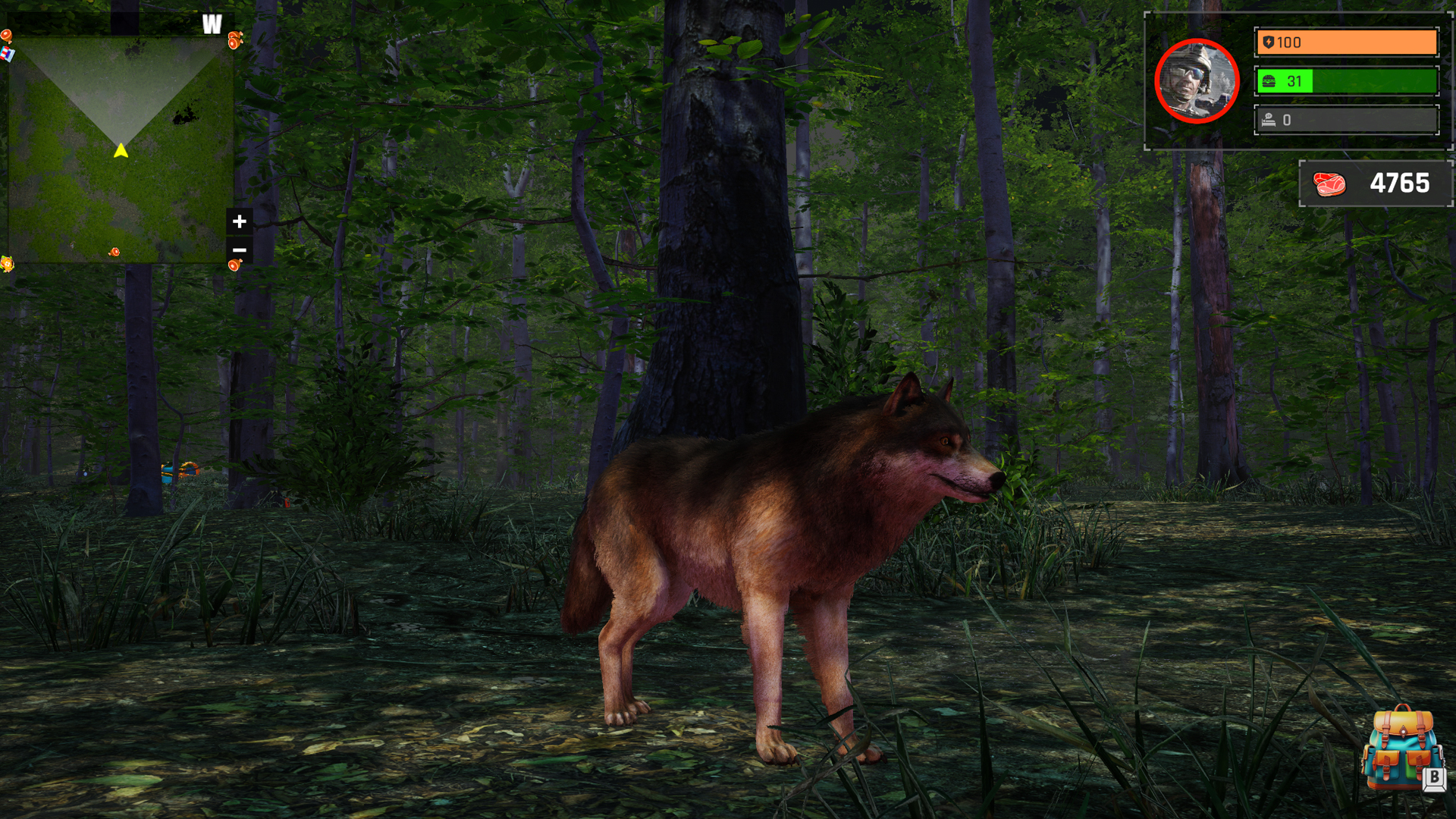 Wolf Simulator: Silent Paws | Download and Buy Today - Epic Games Store