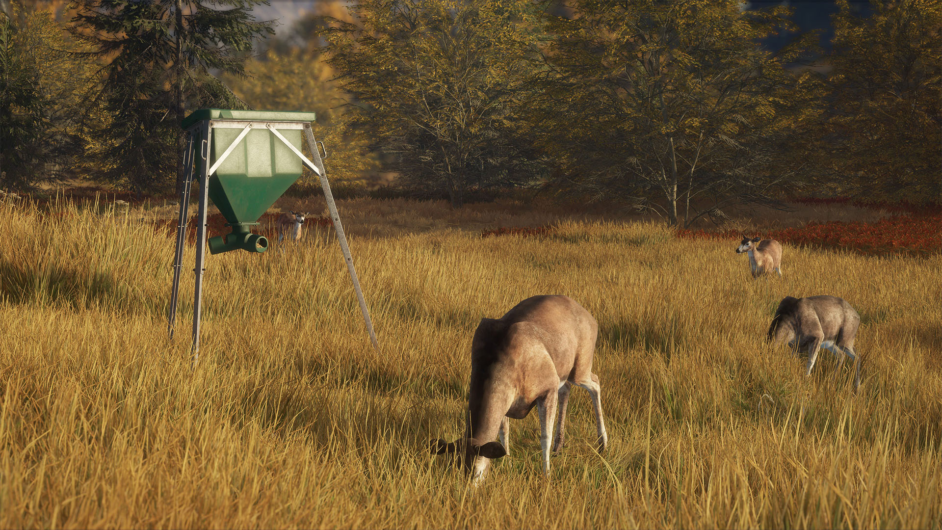 theHunter: Call of the Wild™ - Game Feeder Pack - Epic Games Store