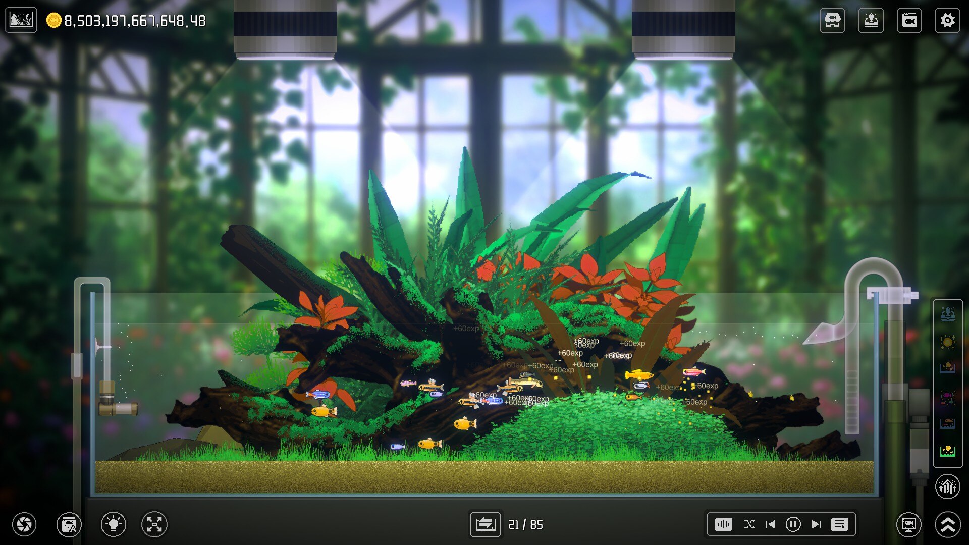 Joyquarium | Stahujte a nakupte dnes – Epic Games Store