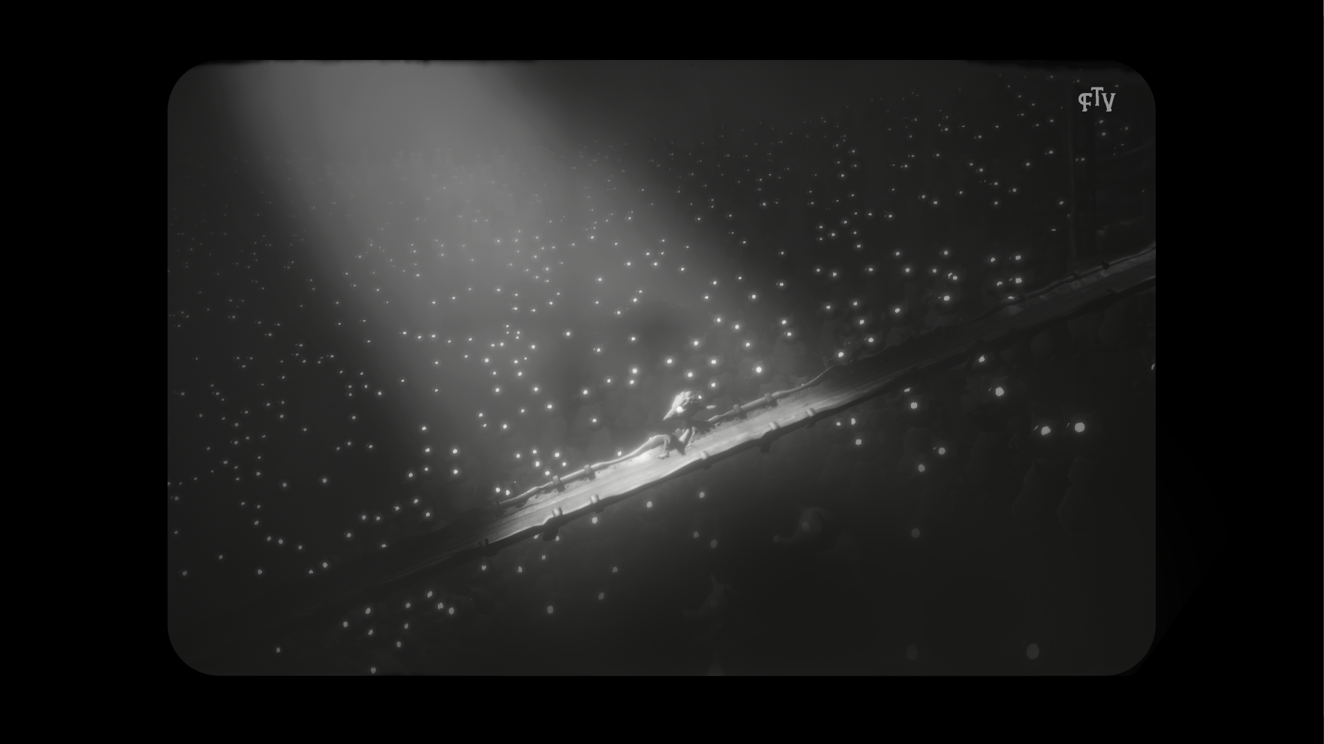 White Shadows | Bugün Satın Al ve İndir - Epic Games Store