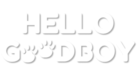 Hello Goodboy即將推出 - Epic Games Store
