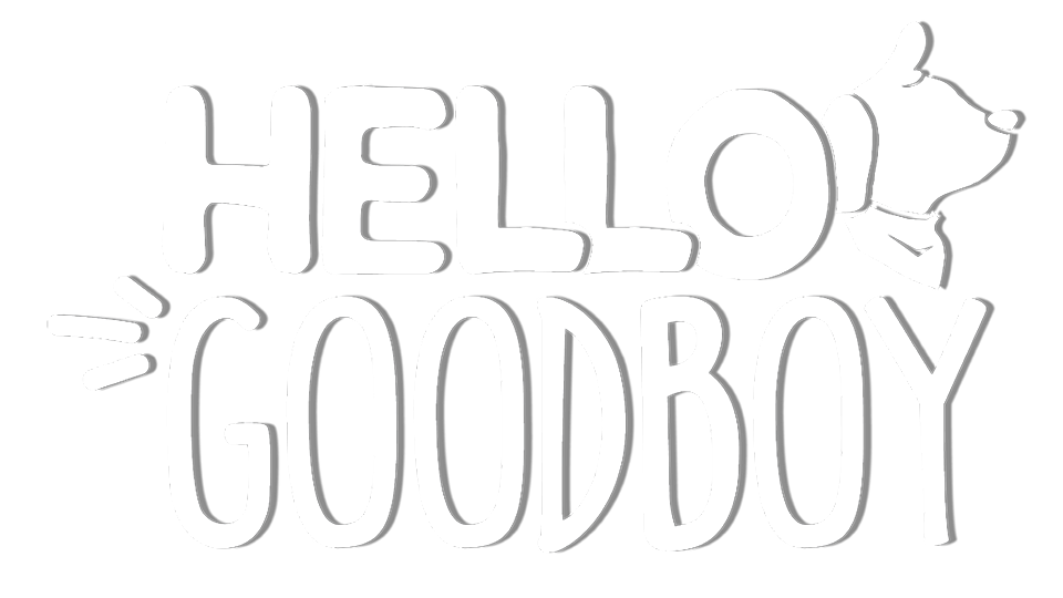 Hello Goodboy | Download and Buy Today - Epic Games Store