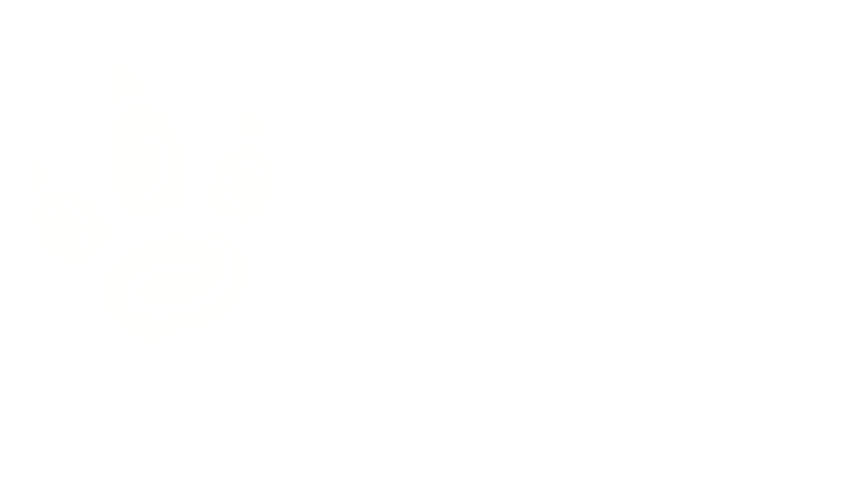Adapt Coming Soon - Epic Games Store