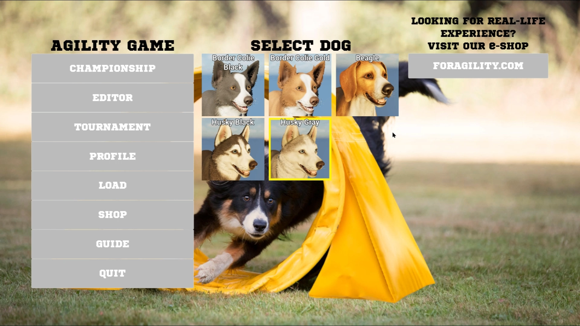 Agility Game | Bugün Satın Al ve İndir - Epic Games Store