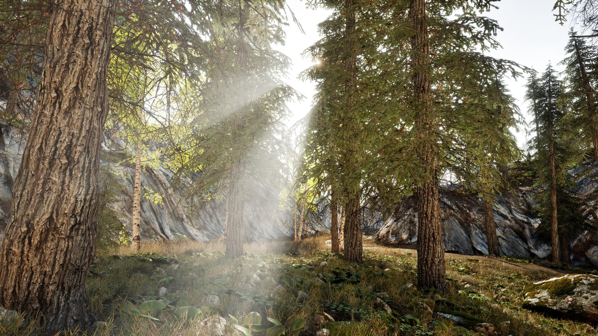 Realm of Dread Coming Soon - Epic Games Store