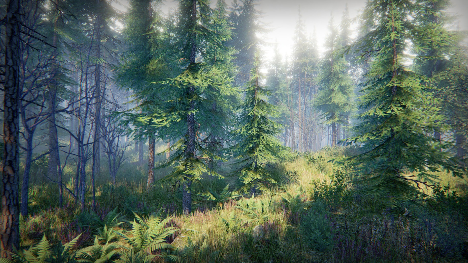 Nature Pack Wallpapers HD Wallpaper: Download Nature Pack 2560x1440,