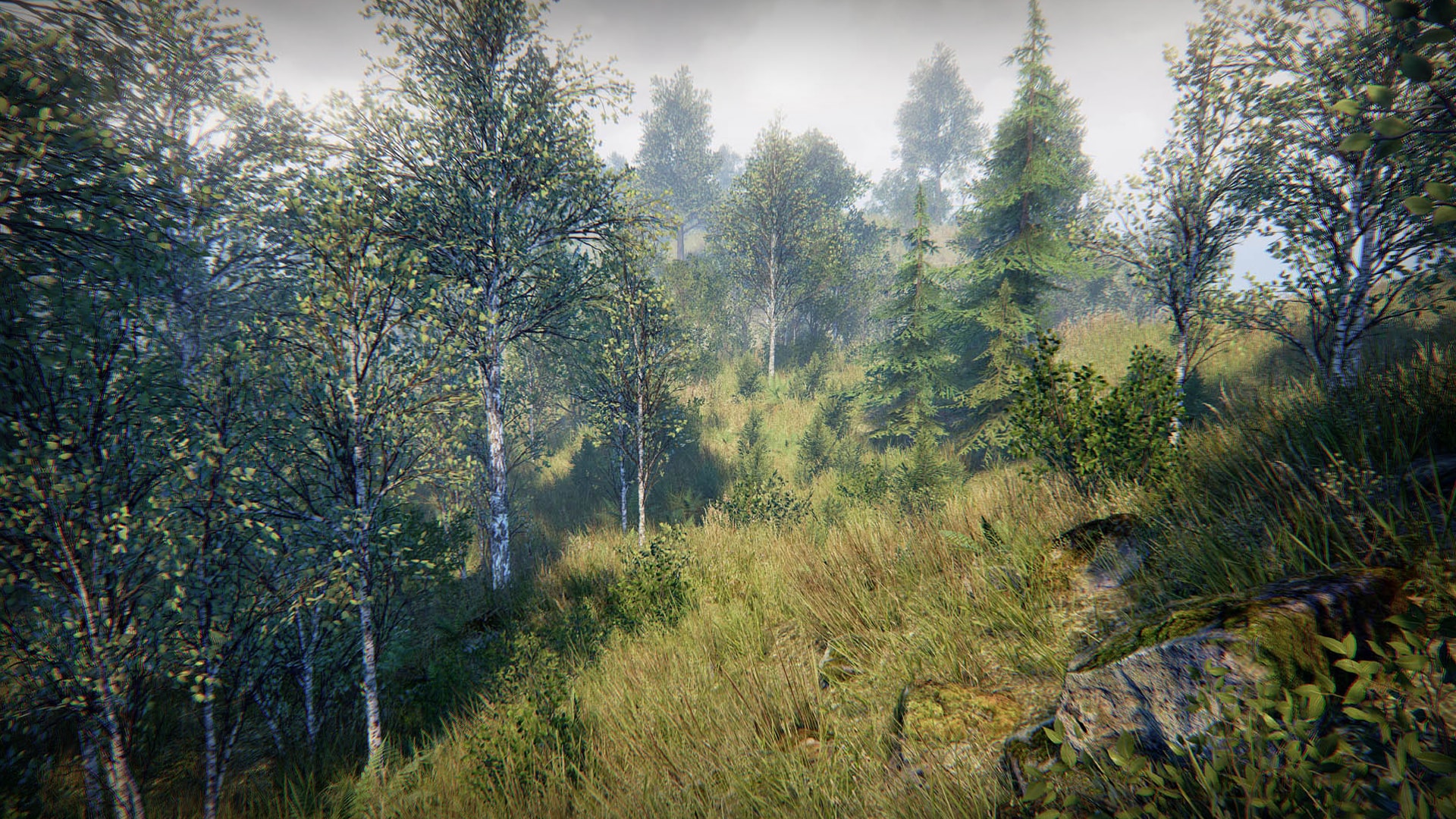 Nature Mega Pack in Environments - UE Marketplace