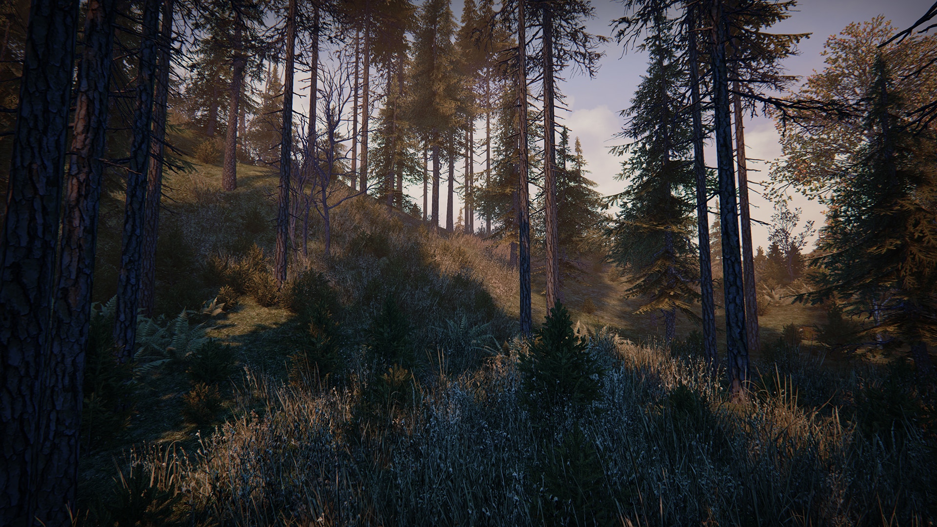 Nature Mega Pack in Environments - UE Marketplace