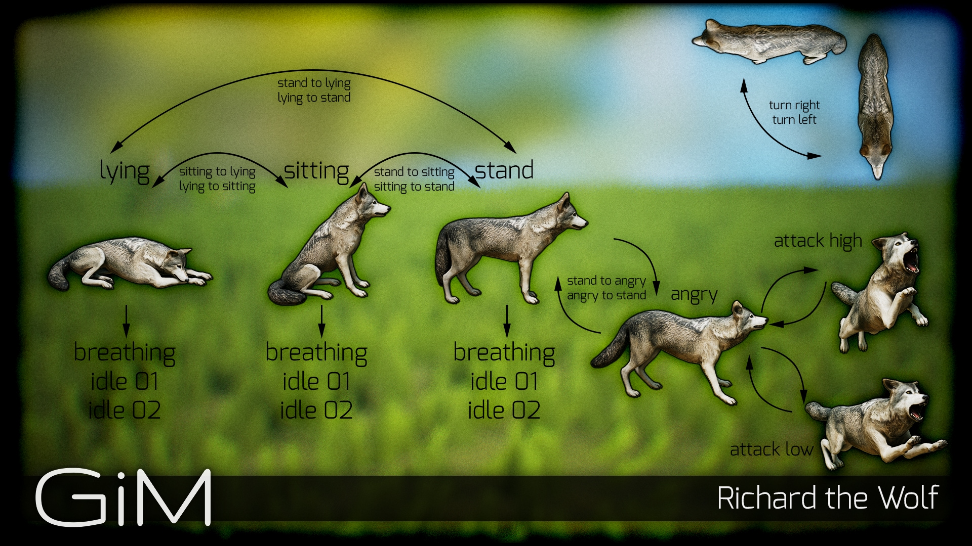 Wolf Life Cycle