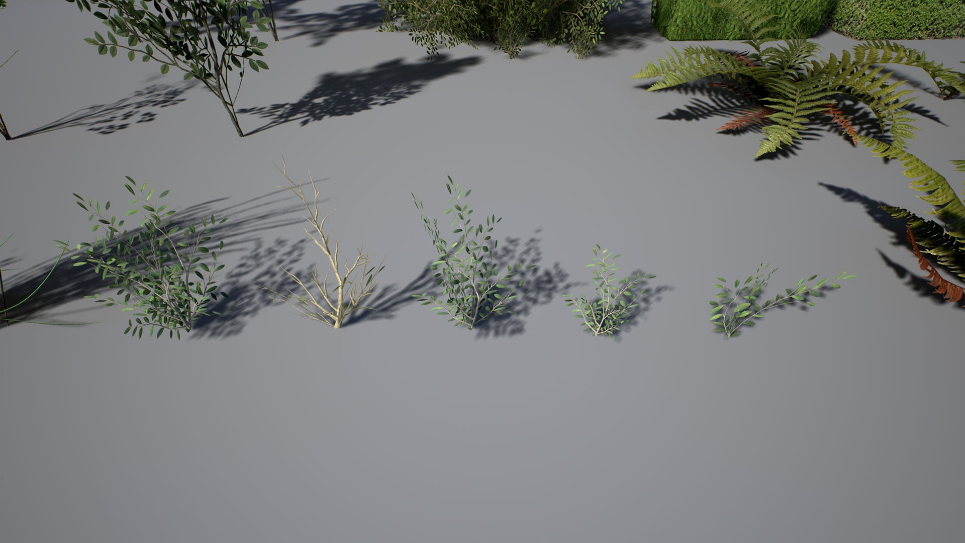 Bushes & Shrubs in Props - UE Marketplace