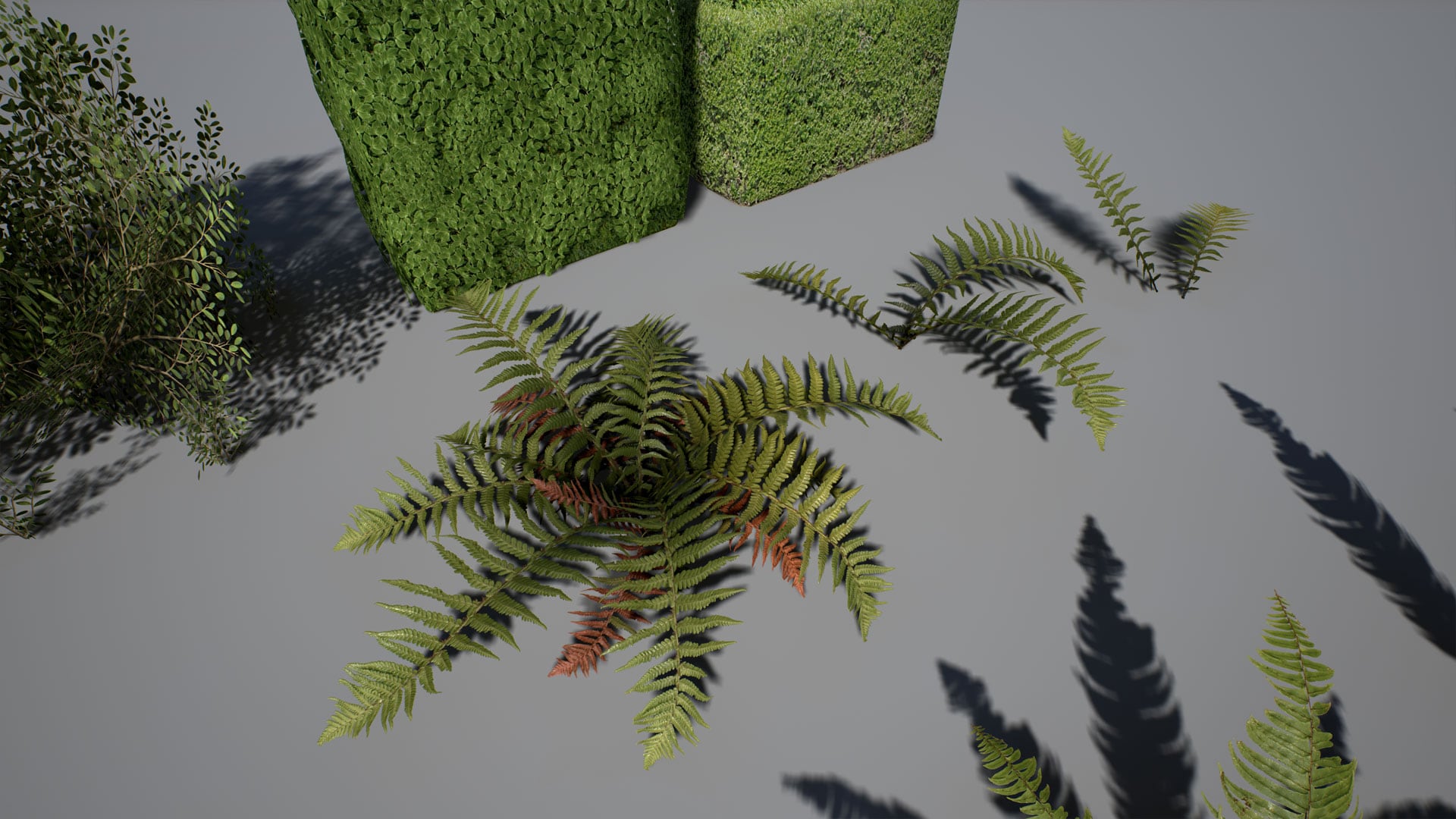 Bushes & Shrubs in Props - UE Marketplace