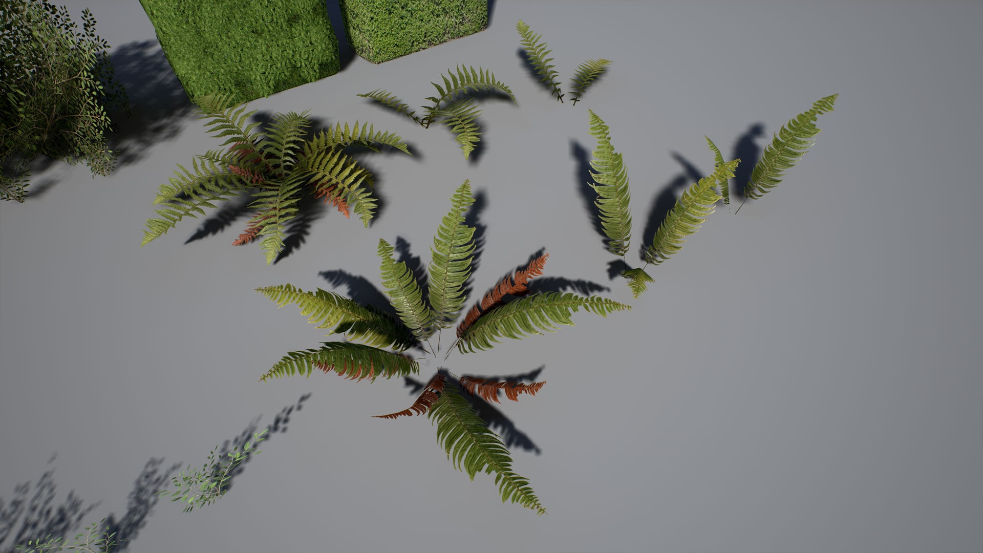 Bushes & Shrubs in Props - UE Marketplace