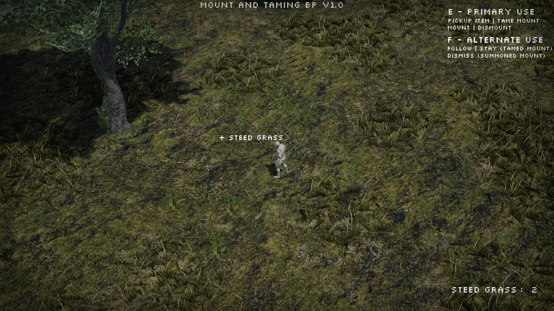 Mount and Taming Blueprint in Blueprints - UE Marketplace