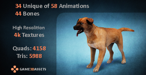 Realistic Casual Dog in Characters - UE Marketplace