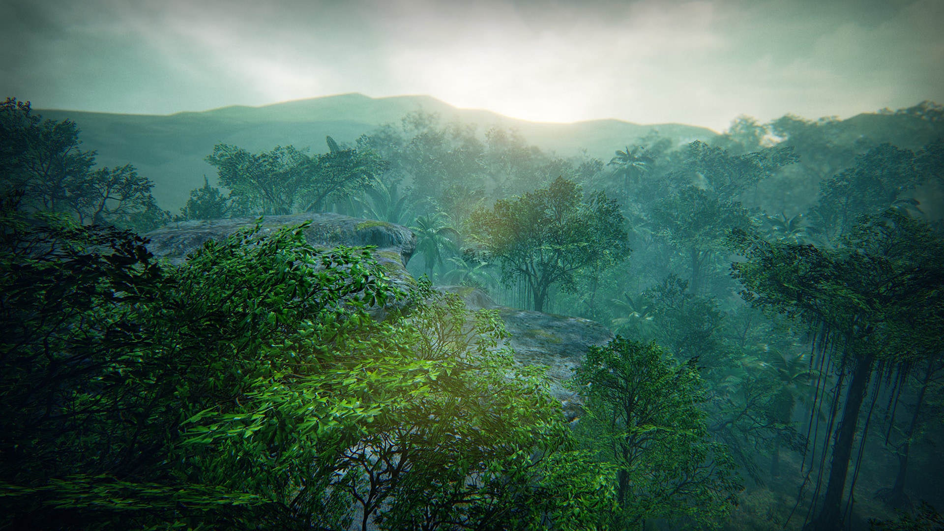 Tropical Forest in Environments - UE Marketplace