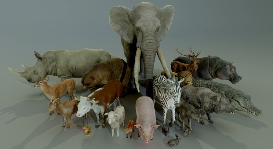 ANIMALS FULL PACK in Characters - UE Marketplace