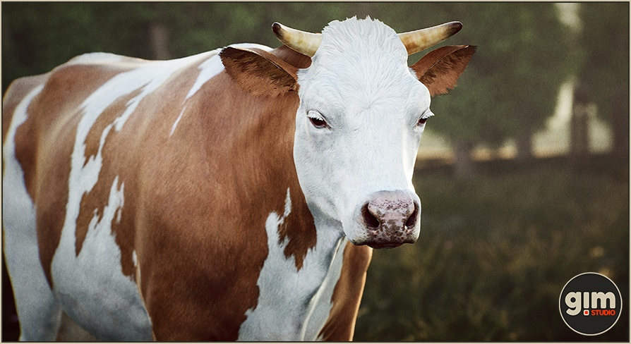 Animalia - Cow F, 카테고리 캐릭터 - UE 마켓플레이스