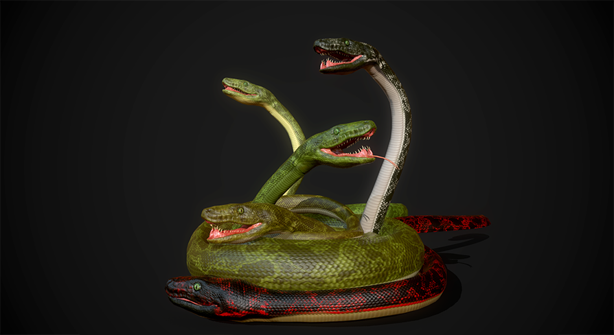 Animated Snakes (Boa) in Characters - UE Marketplace