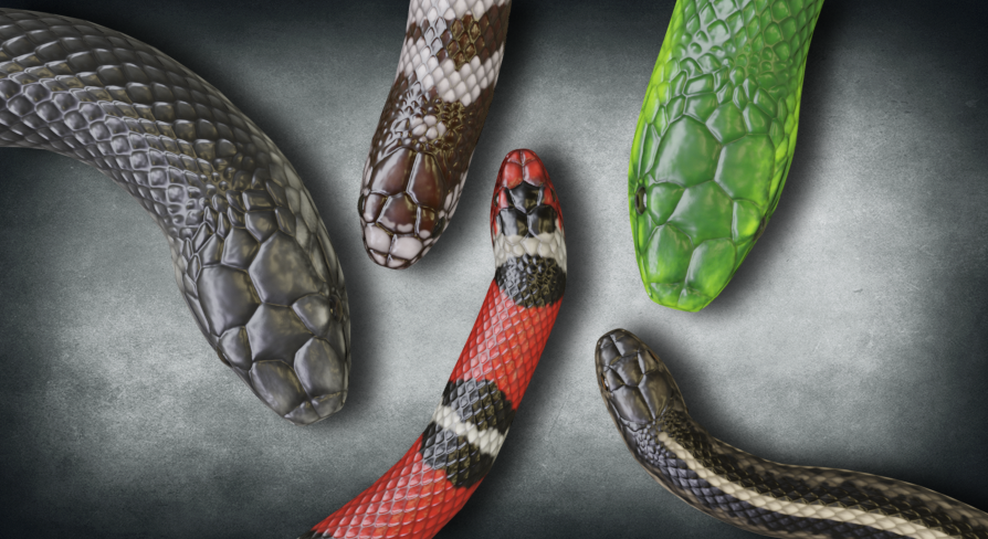 Animated Snakes PBR Volume 1 in Characters - UE Marketplace