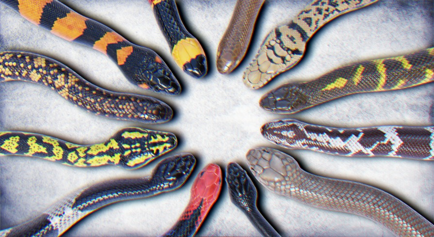 Animated Snakes Ultimate Volume 3 in Characters - UE Marketplace