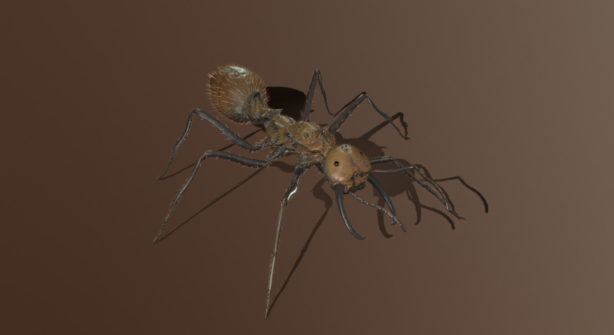 Ant_Soldier in Characters - UE Marketplace