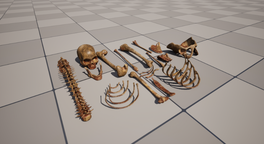 Bones：プロップ・小物 - UE マーケットプレイス